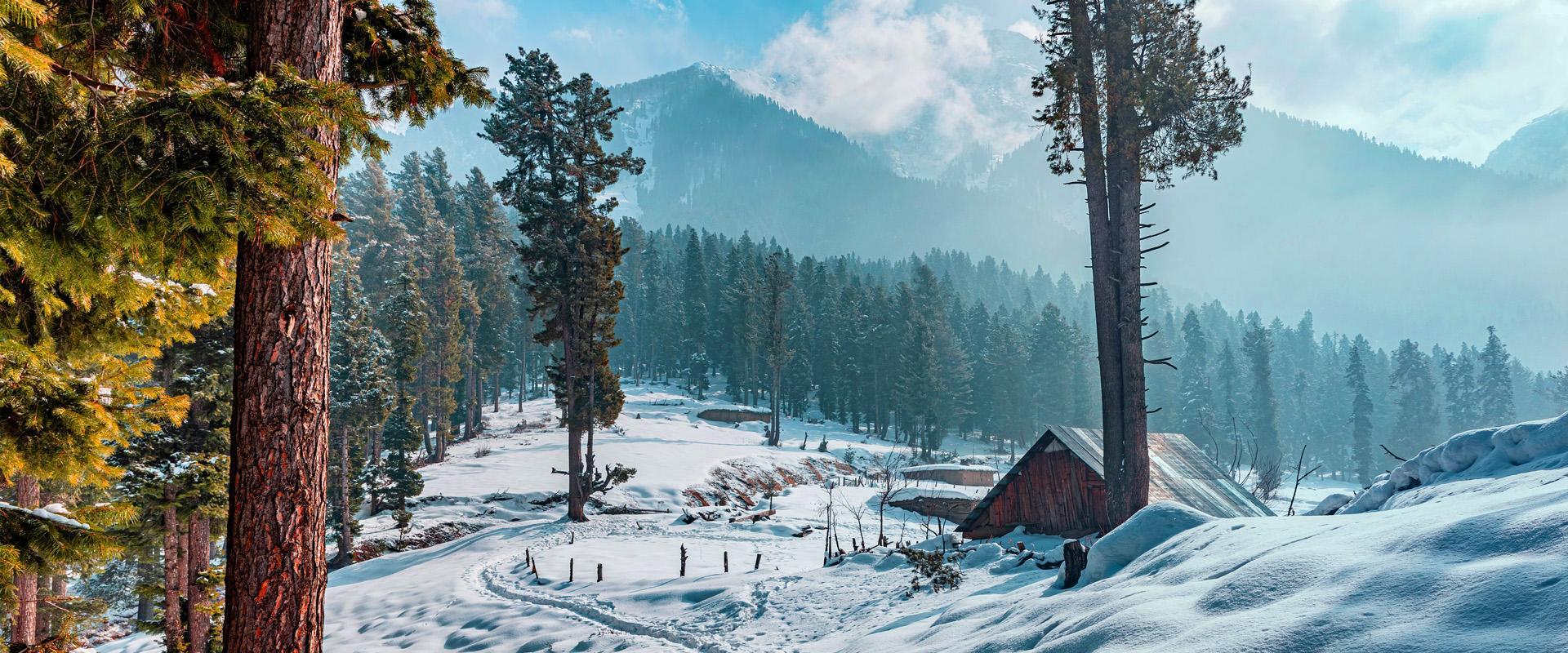 Chalo India - Incredible India - Adsyndicate Services Private Limited